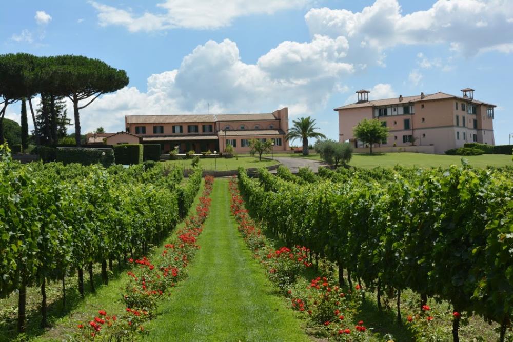 Programs > University of Dallas Rome & Summer Programs